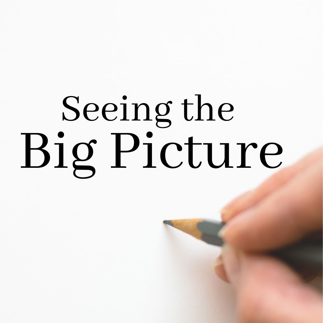 Seeing The Big Picture